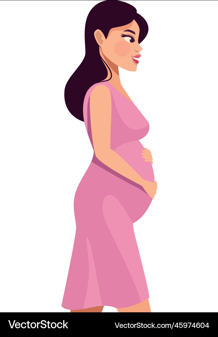 Woman three months pregnant Royalty Free Vector Image