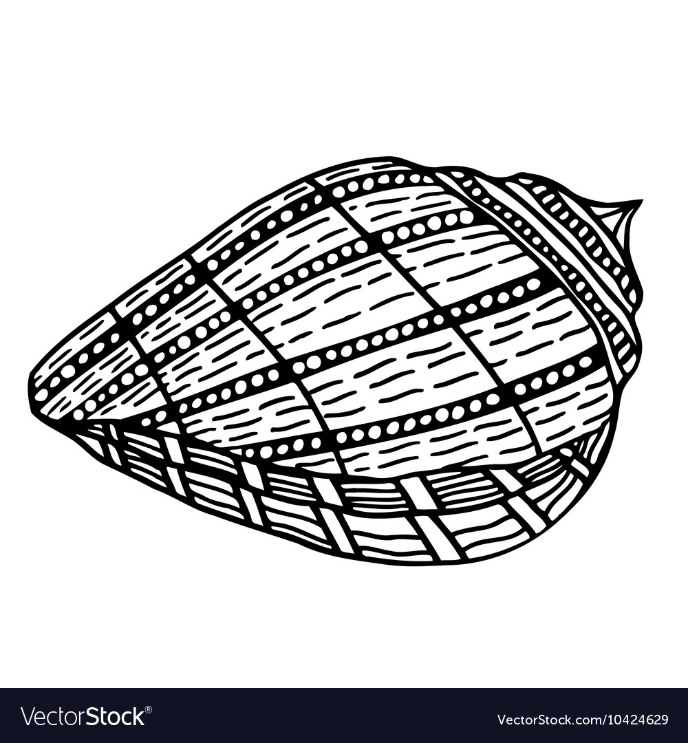 Sea shell icon Royalty Free Vector Image - VectorStock