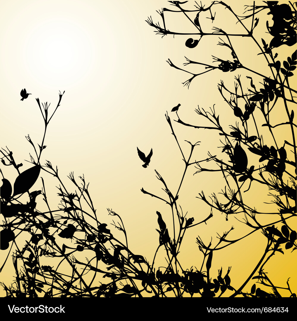 Branches Royalty Free Vector Image - VectorStock