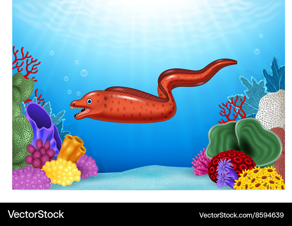 Cute Moray eel with Coral Reef Underwater in Ocean