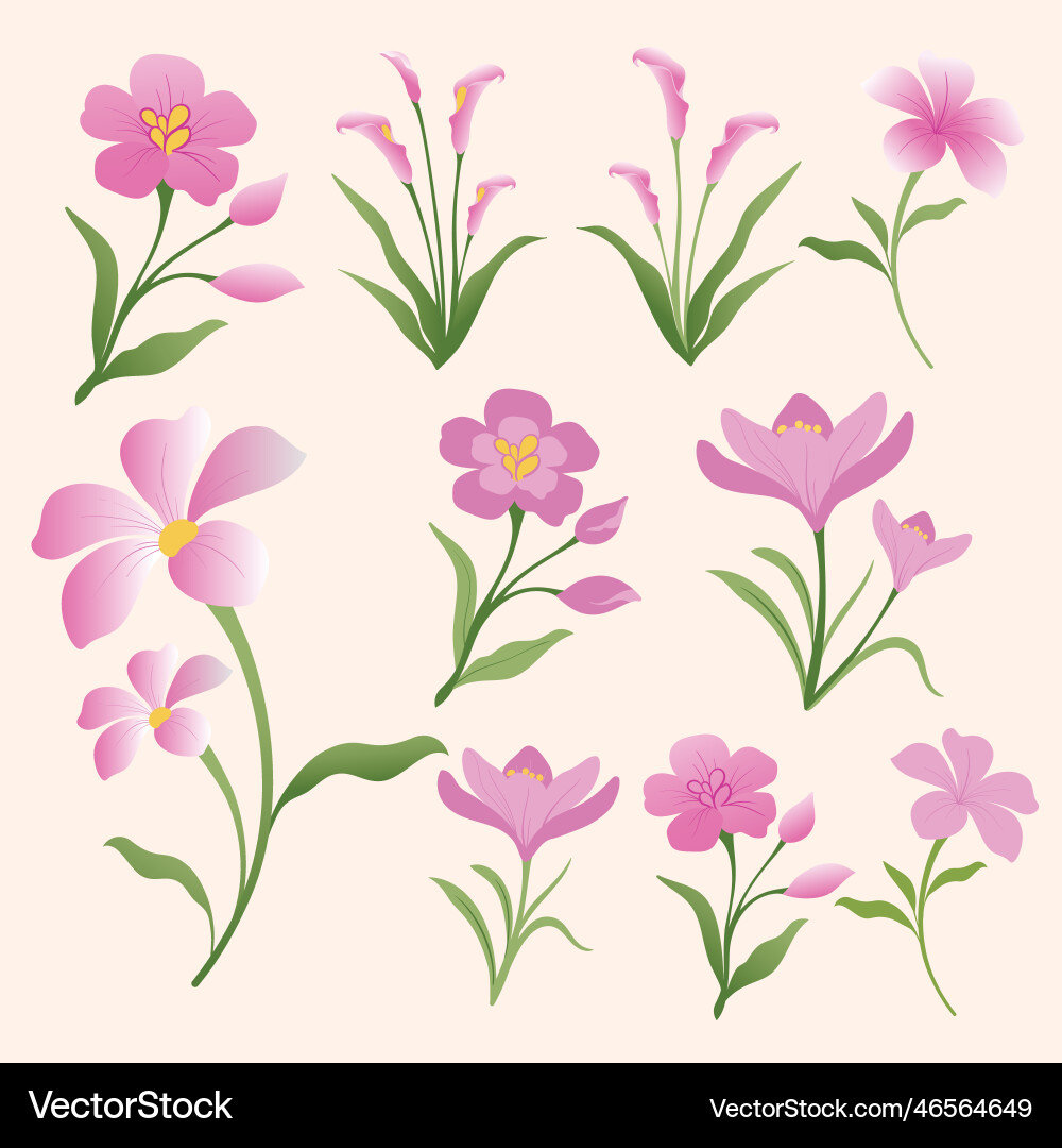 Pink and green flower collection Royalty Free Vector Image