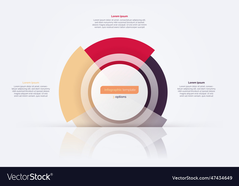 Three option circle infographic diagram Royalty Free Vector