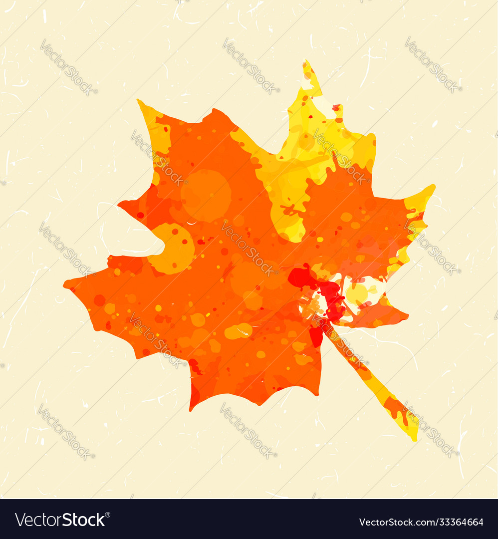 Autumn maple leaf Royalty Free Vector Image - VectorStock