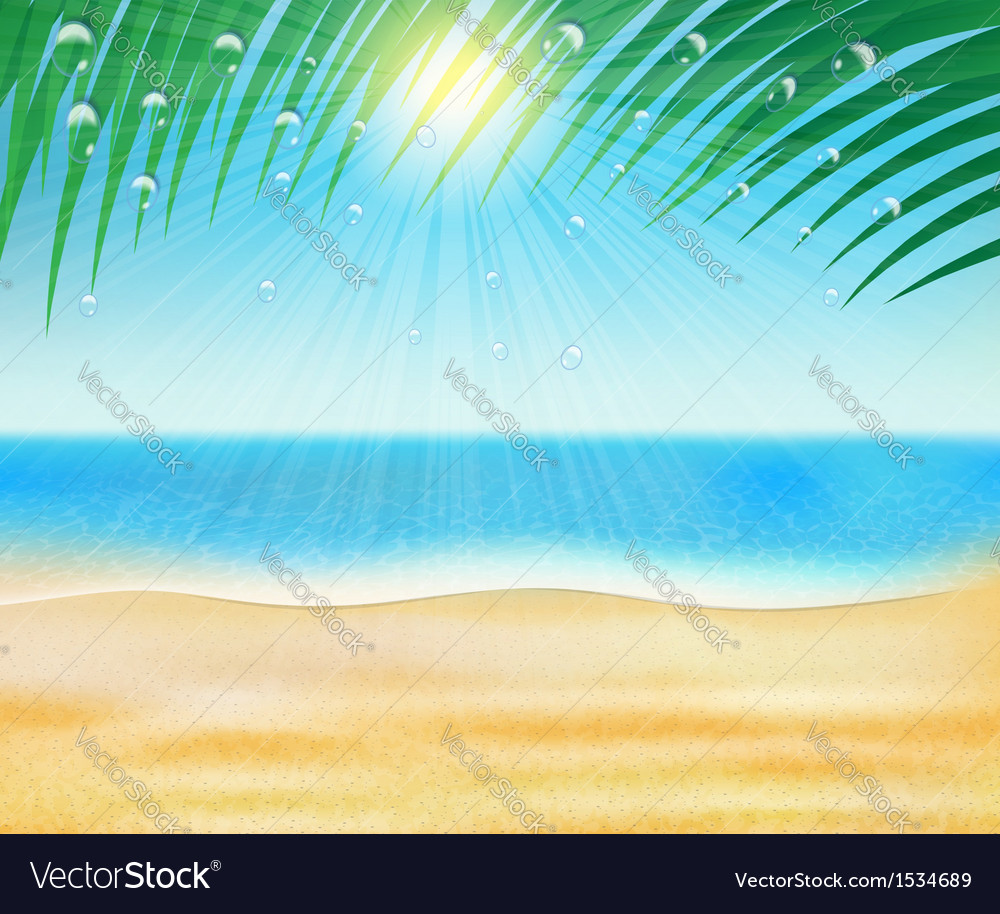 Summer sea beach with palm trees Royalty Free Vector Image