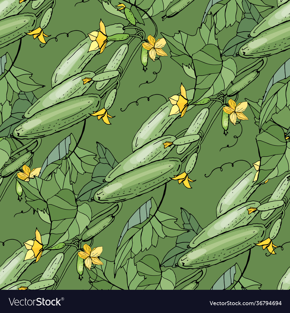 Seamless pattern with green cucumbers endless Vector Image