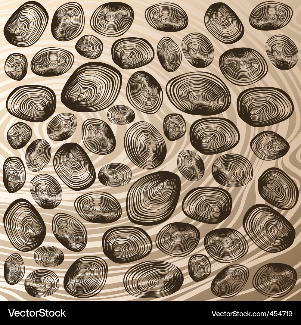 Shells background Royalty Free Vector Image - VectorStock