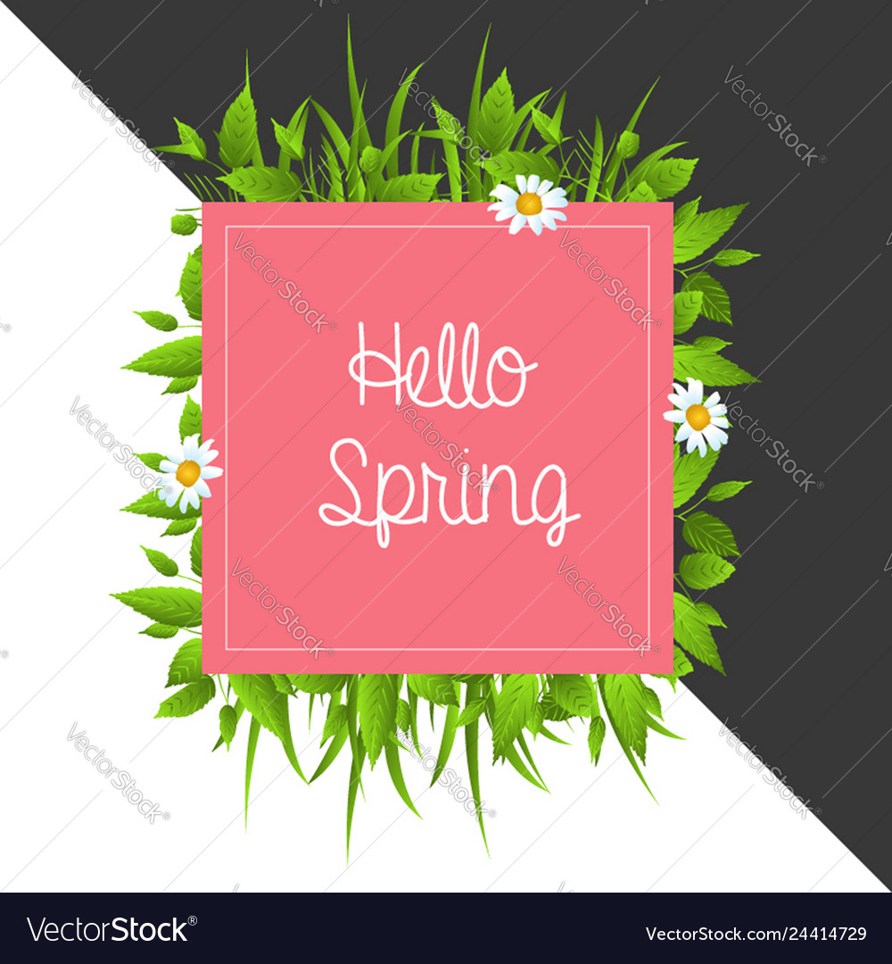 Print hello spring background Royalty Free Vector Image
