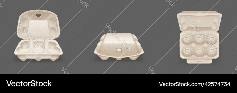 Empty carton egg tray blank box package mockup Vector Image