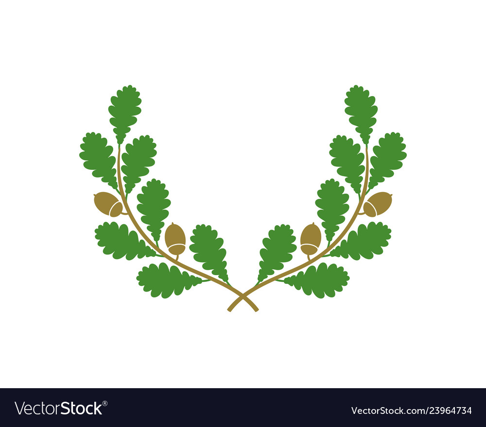 Oak leaf Royalty Free Vector Image - VectorStock