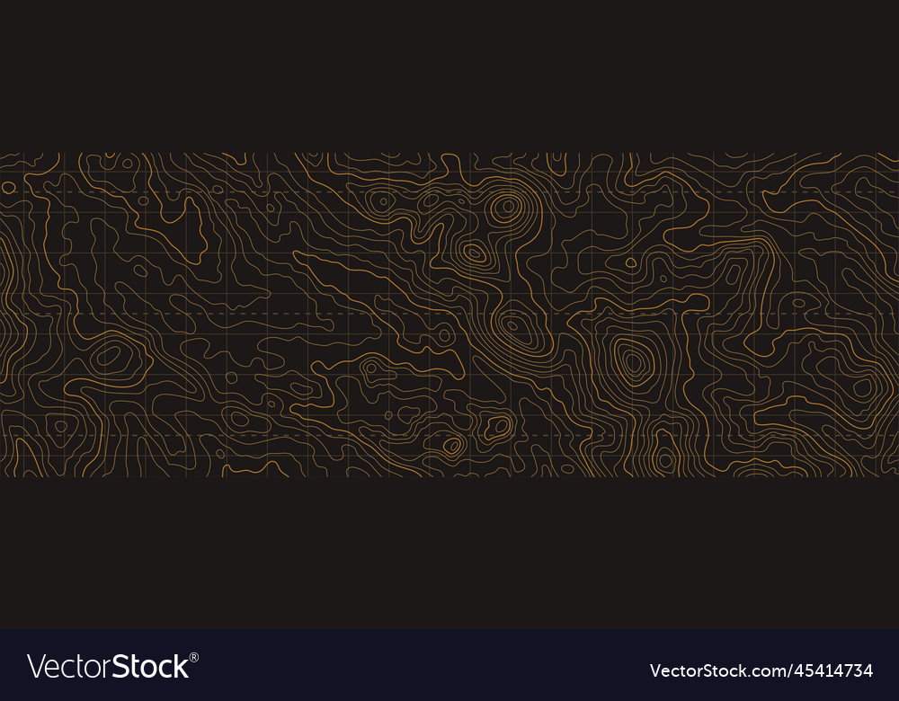 Topographic map patterns topography line Vector Image