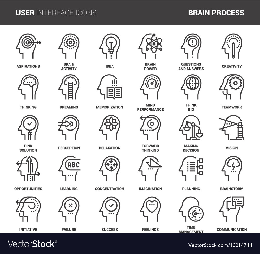 Thinking and brain process Royalty Free Vector Image