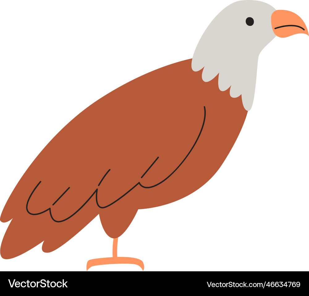 Eagle predator bird Royalty Free Vector Image - VectorStock