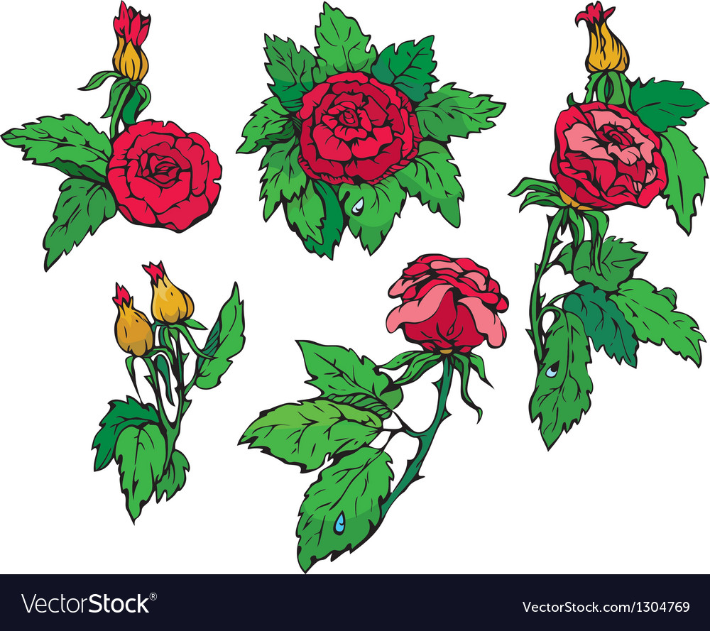 Roses elements set Royalty Free Vector Image - VectorStock