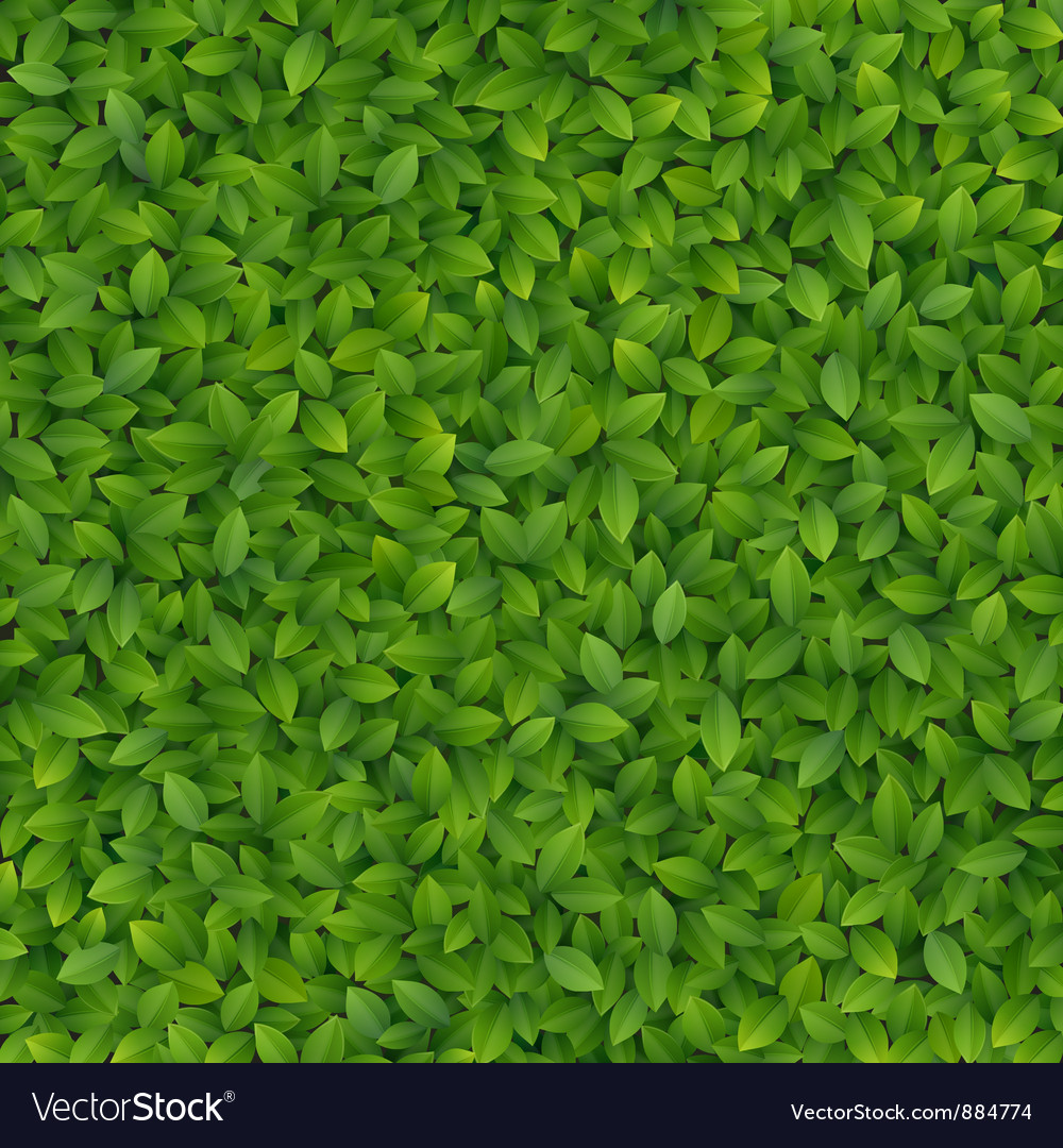 Foliage Royalty Free Vector Image - VectorStock