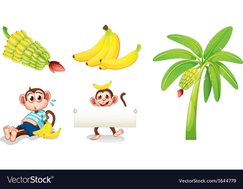 Bananas and monkeys with an empty signboard Vector Image