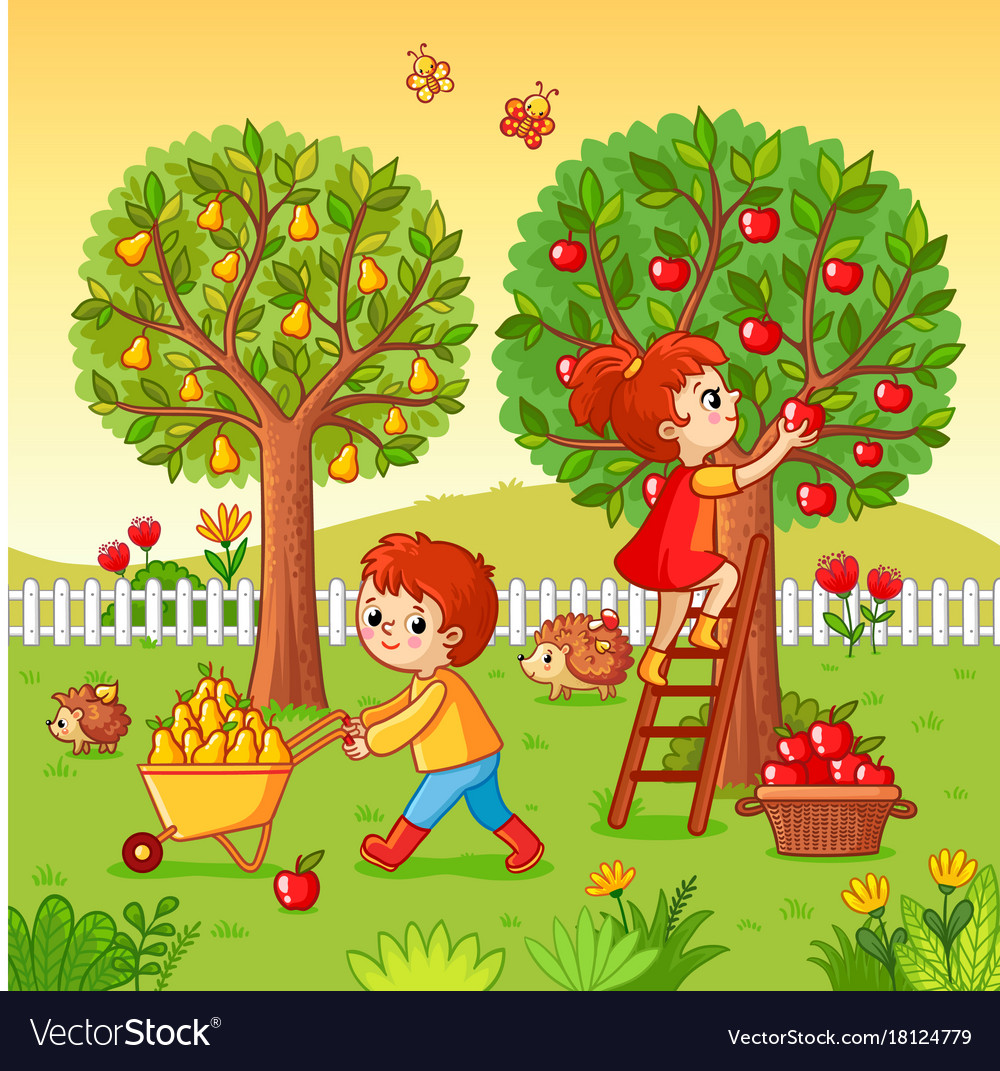 Boy and girl collect fruit harvest Royalty Free Vector Image