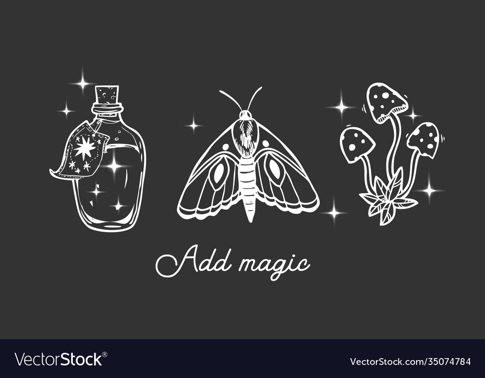 Magic elements hand drawn Royalty Free Vector Image