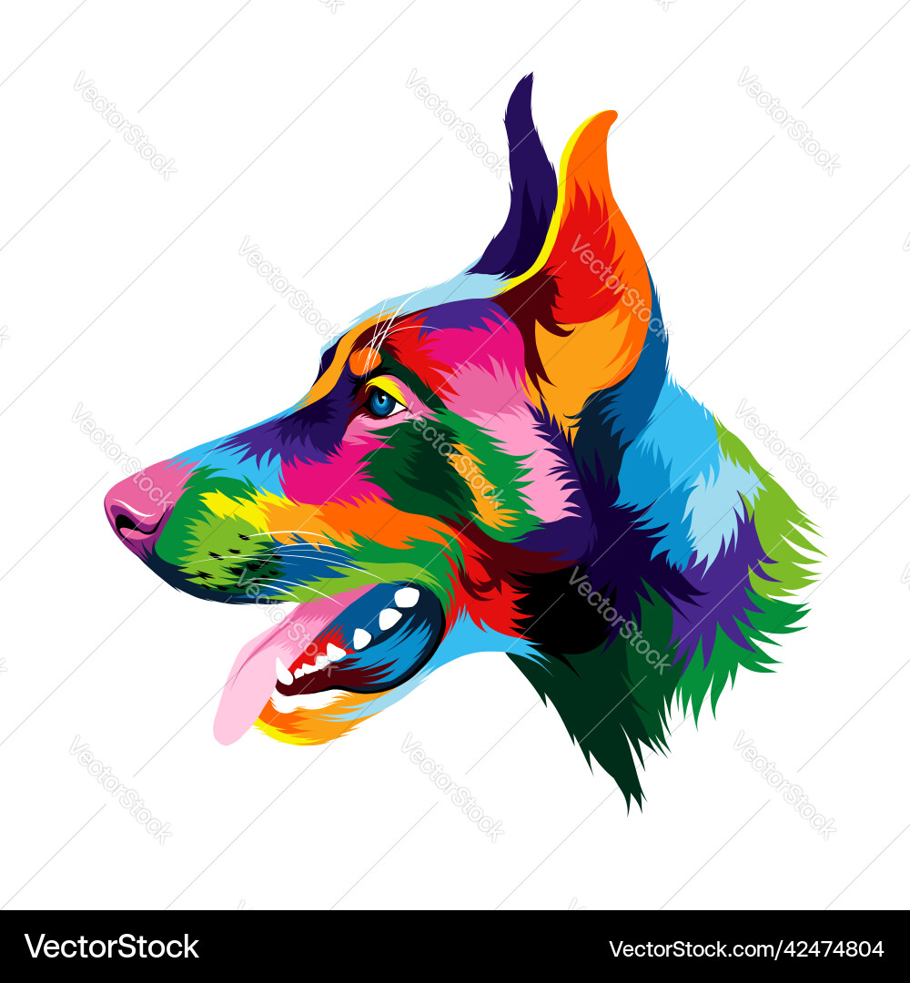 Abstract doberman head portrait from multicolored Vector Image