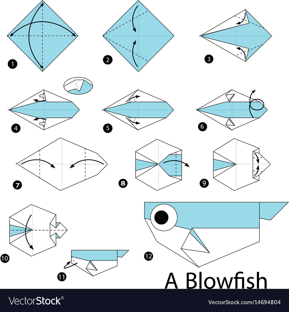 Step by instructions how to make origami Vector Image
