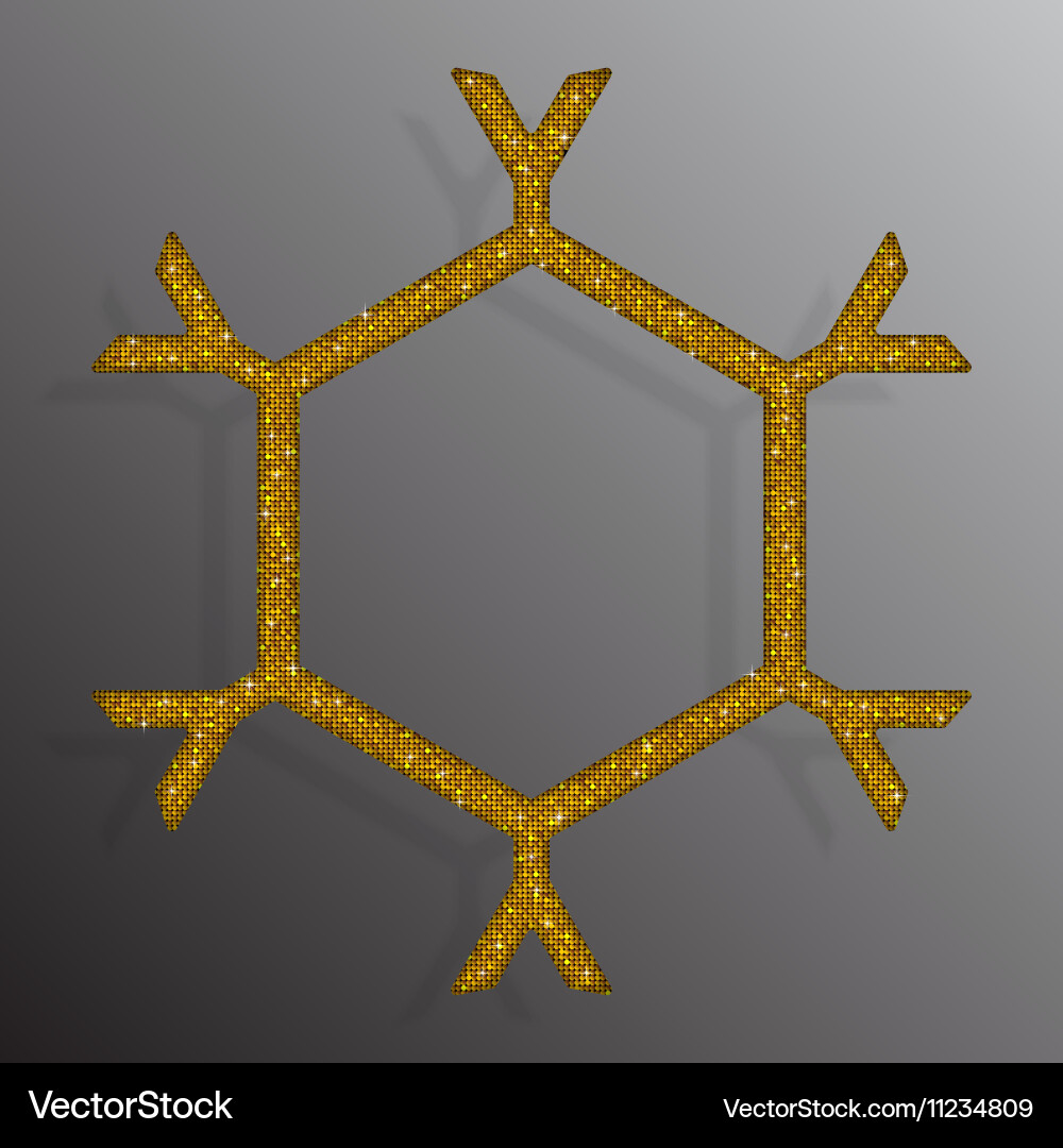Frame Gold Sequins Snowflake Glitter Sparkle Vector Image