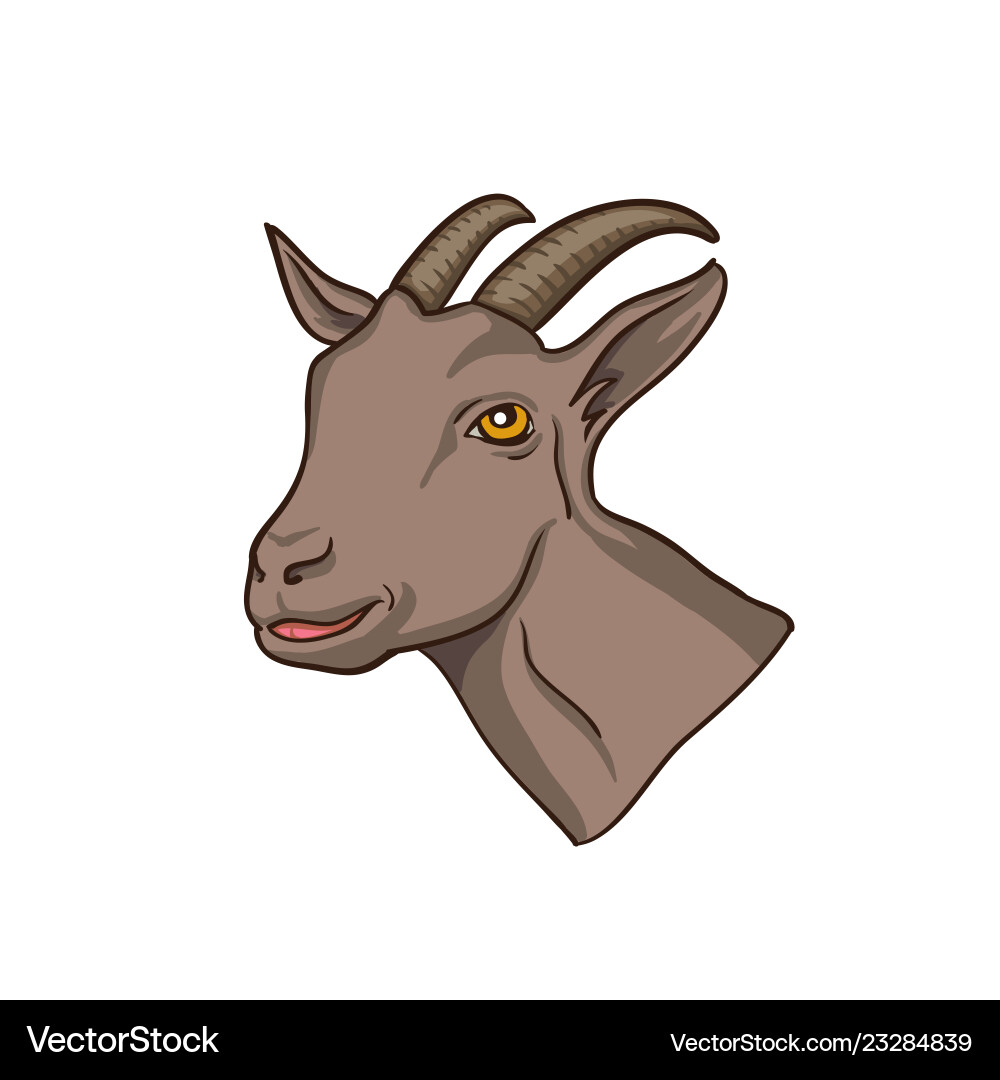 Goat head isolated Royalty Free Vector Image - VectorStock