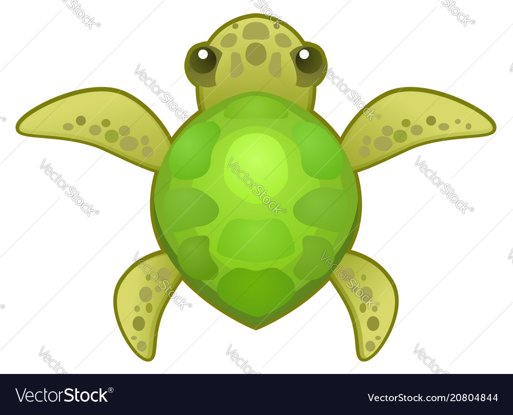 Cute Cartoon Turtle Royalty Free Vector Image - VectorStock