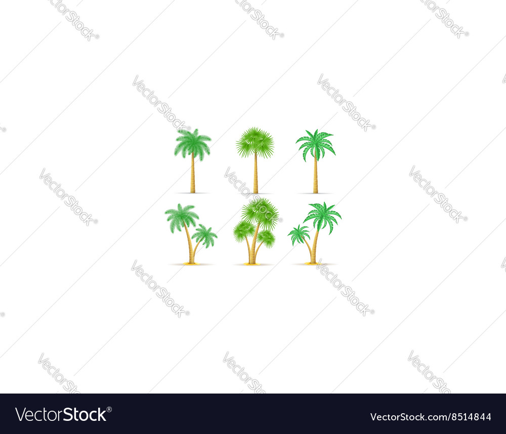 Palm tree 18 Royalty Free Vector Image - VectorStock