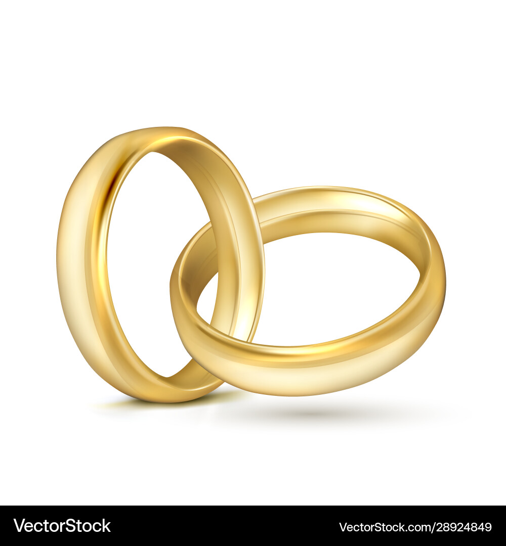Ring Royalty Free Vector Image - VectorStock
