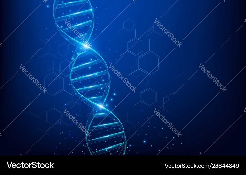 Wireframe dna molecules structure mesh low poly Vector Image