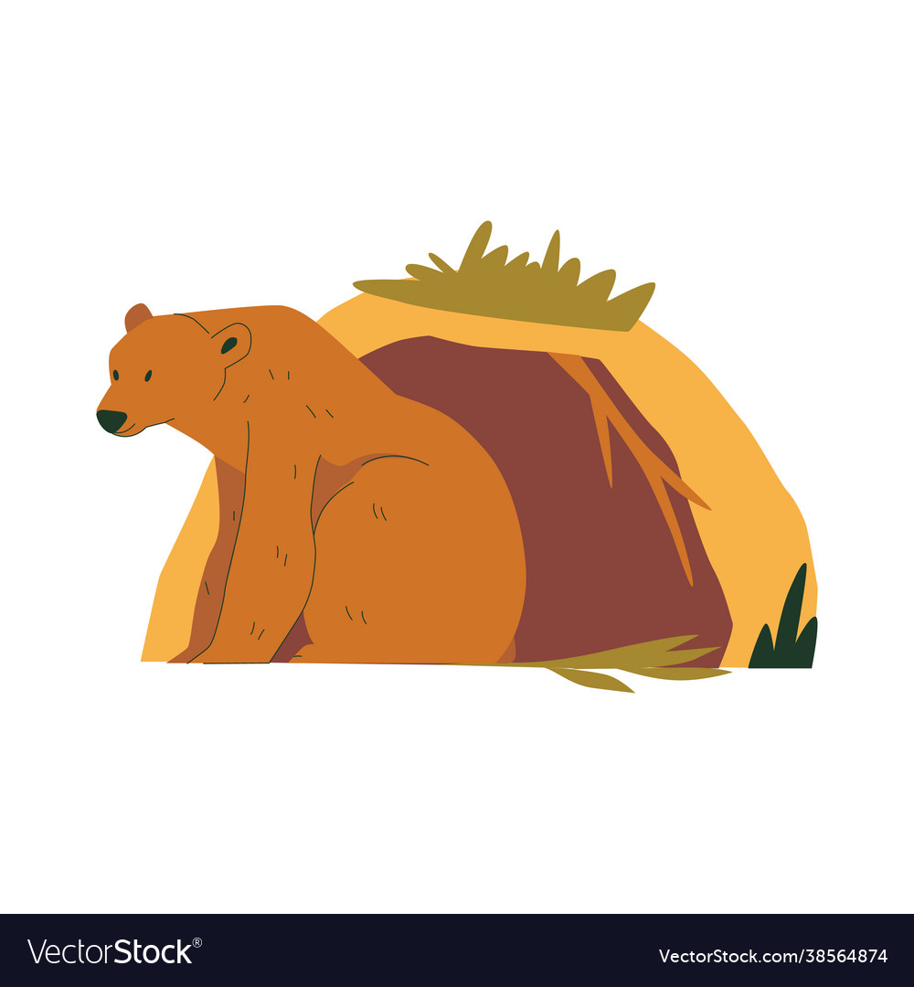 Flat bear Royalty Free Vector Image - VectorStock