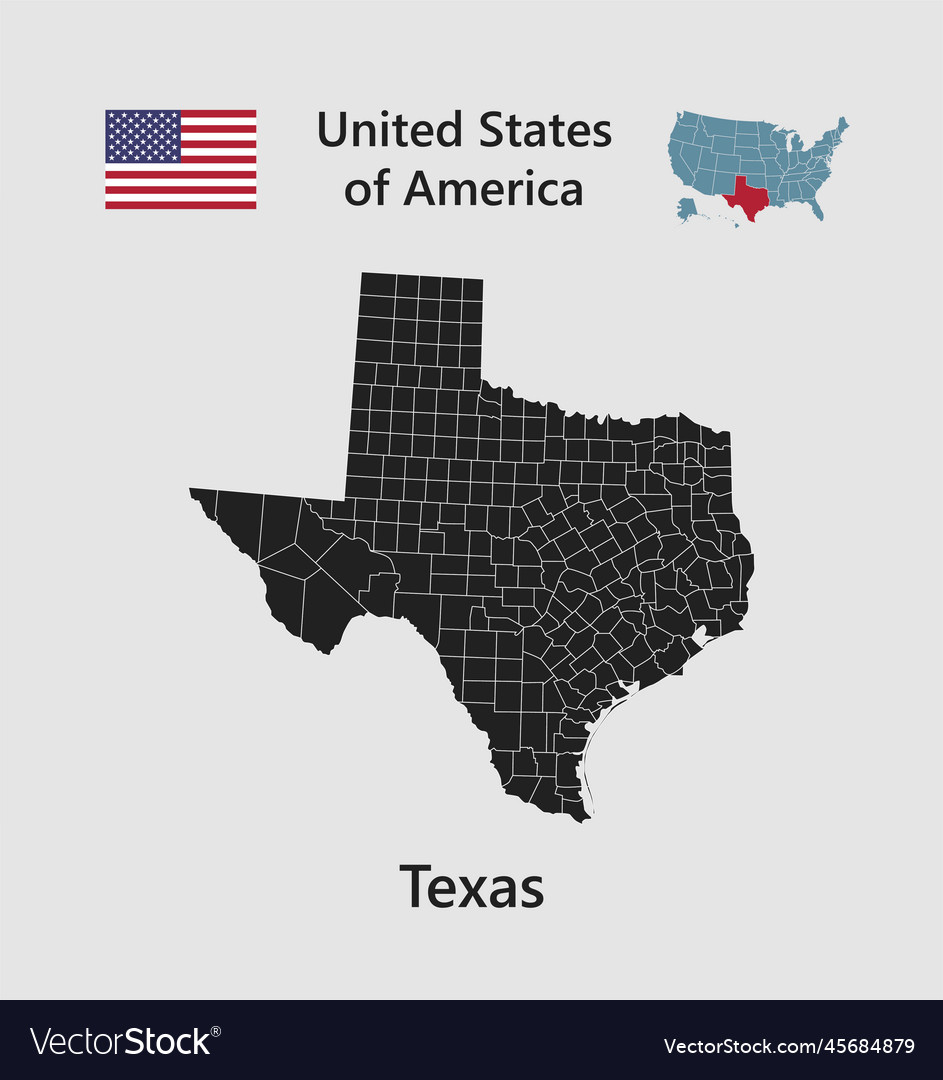 Map state texas flag and usa Royalty Free Vector Image