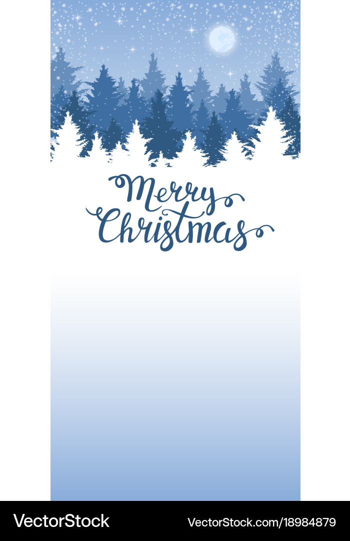 Night forest flyer Royalty Free Vector Image - VectorStock