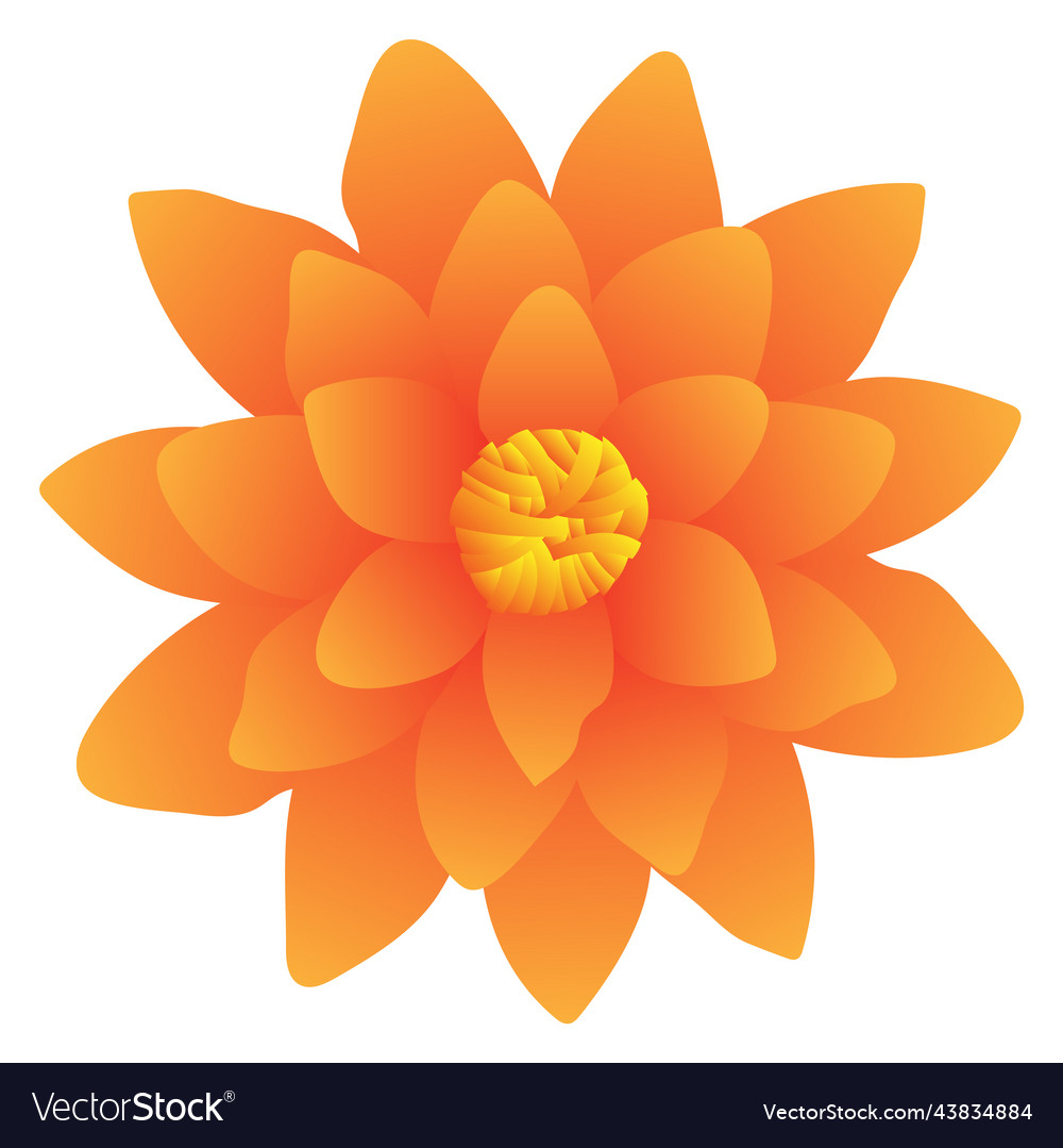 Flowers Png Top View at Ola Cahoon blog