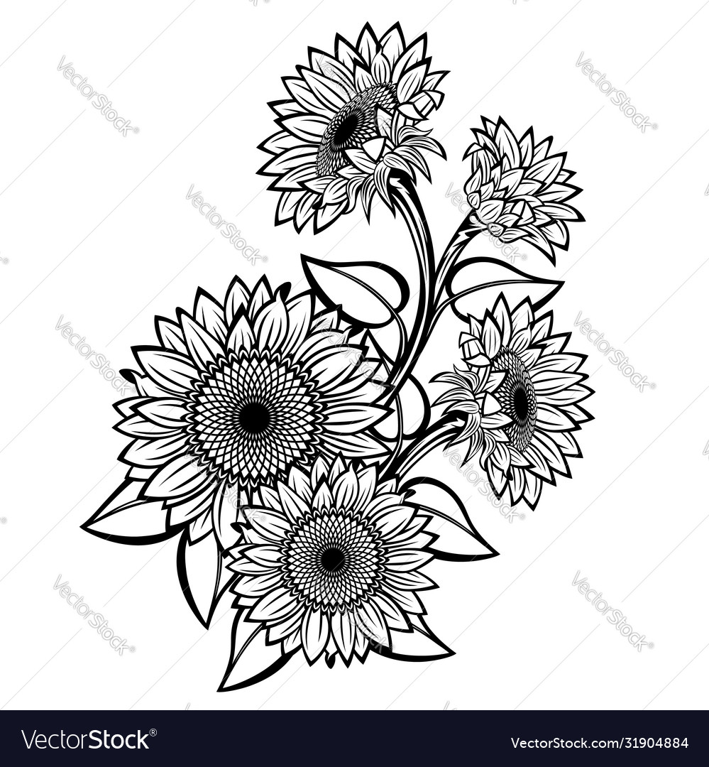 Sunflower Royalty Free Vector Image - VectorStock