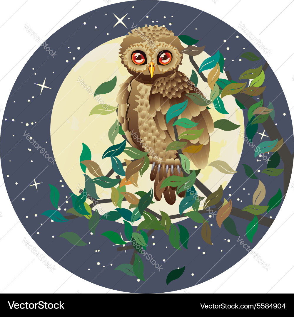 Owl and moon Royalty Free Vector Image - VectorStock