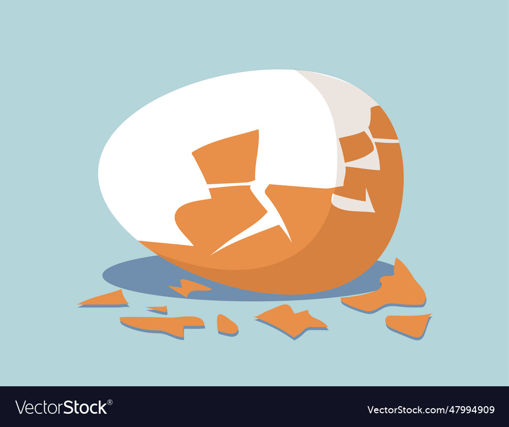 Eggs at broken shell concept Royalty Free Vector Image