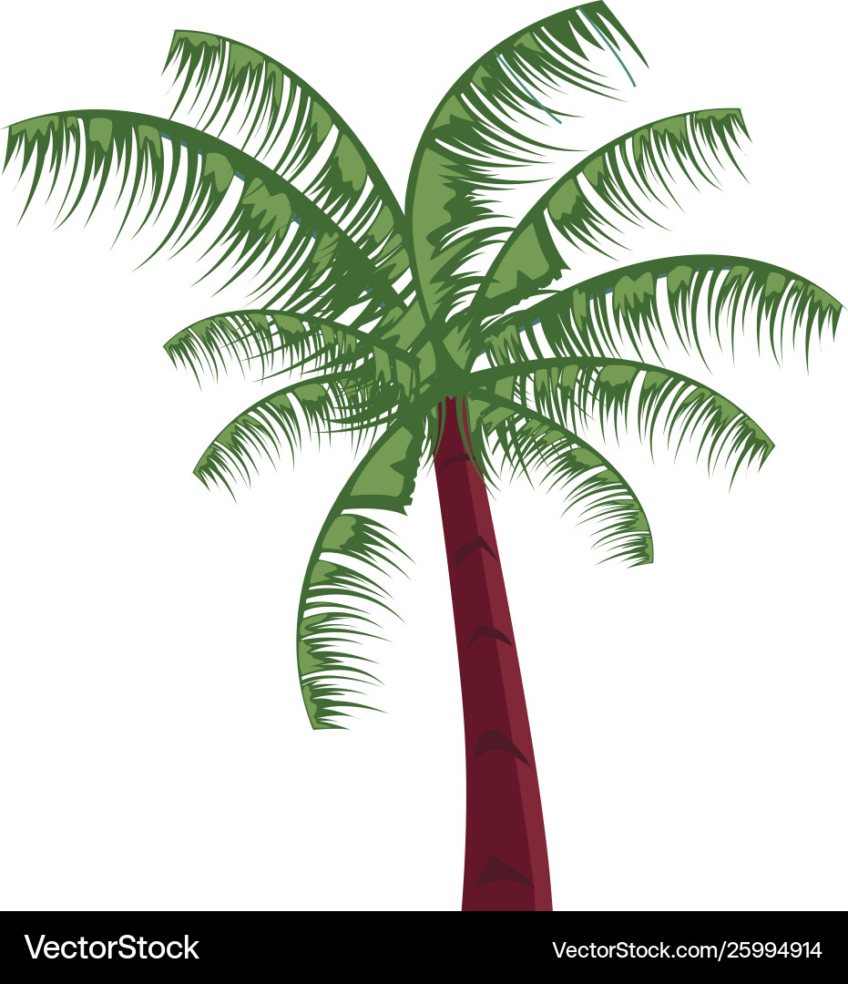 Palm tree tropical natural icon Royalty Free Vector Image