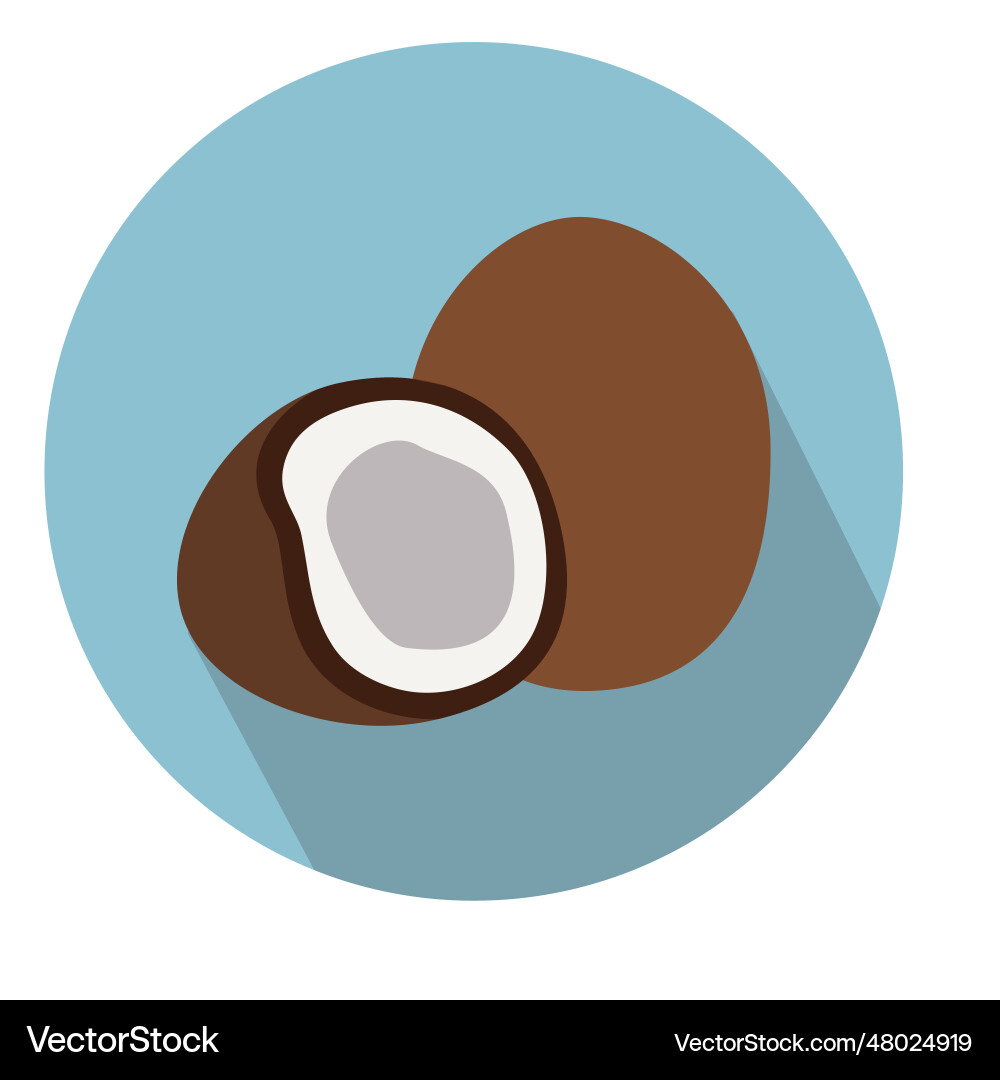 Coconut circle icon Royalty Free Vector Image - VectorStock