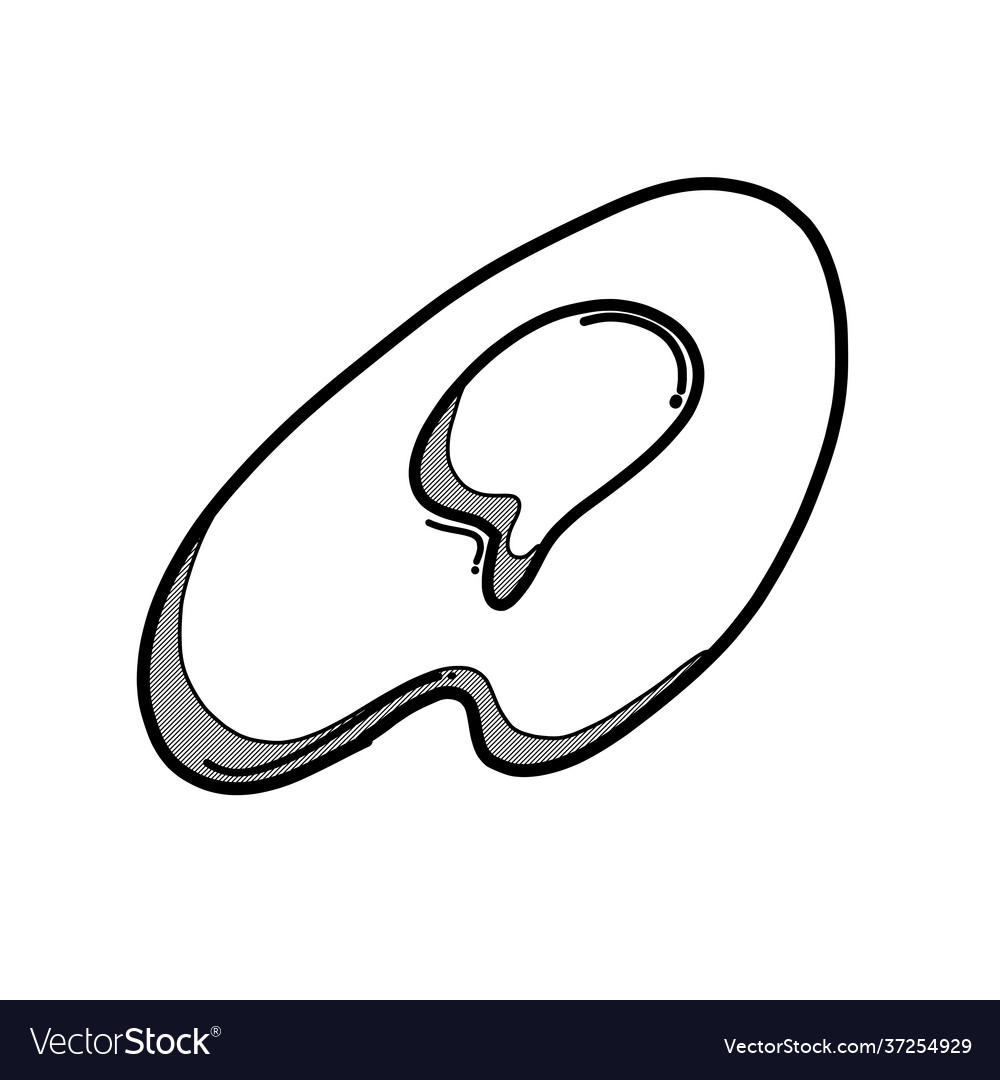 Fried Egg Doodle Icon Drawing Sketch Hand Drawn Vector Image