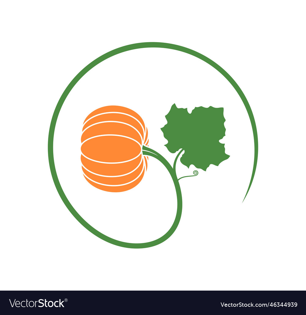 Pumpkin Royalty Free Vector Image - VectorStock