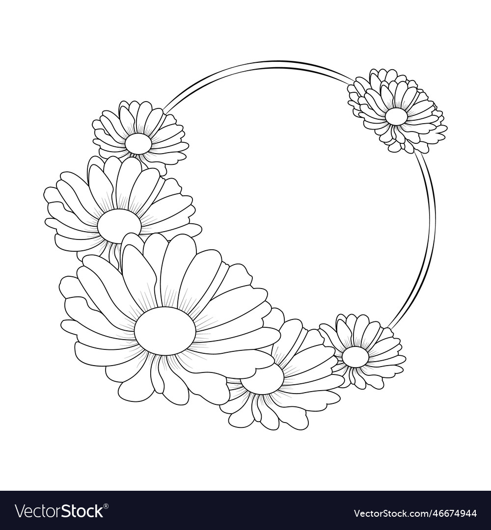 Daisy flower coloring page for adults line art Vector Image