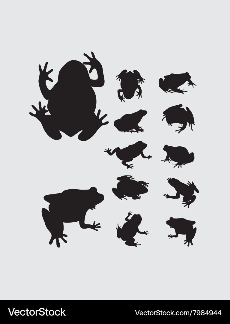 Frog silhouettes Royalty Free Vector Image - VectorStock