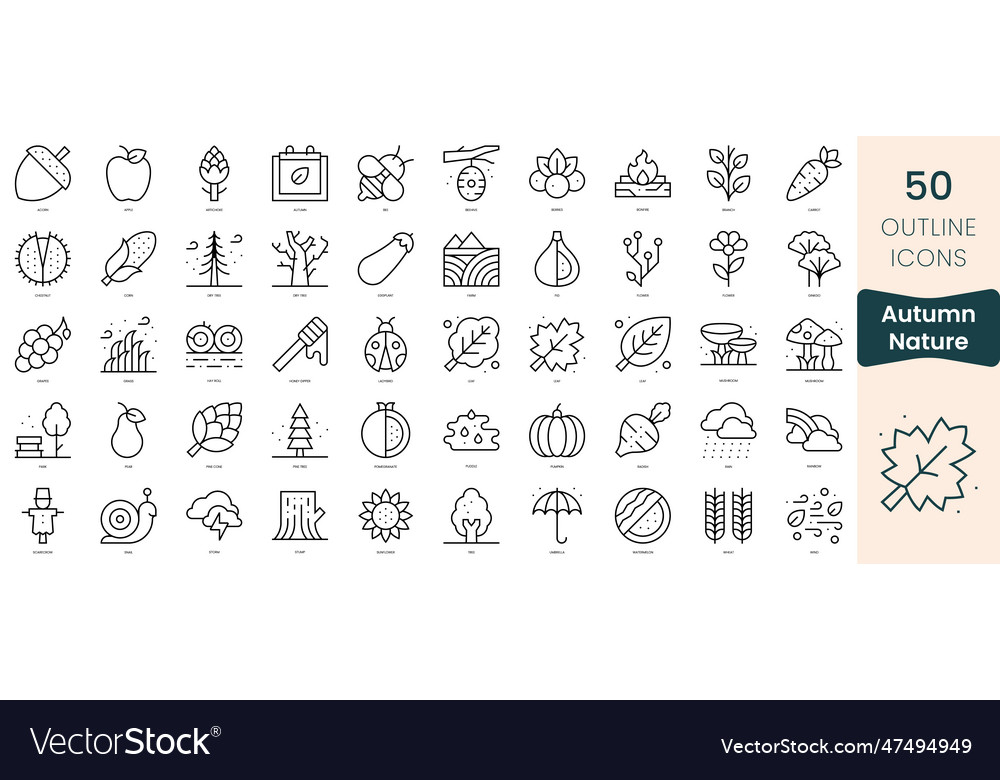 Set of autumn nature icons thin linear style Vector Image