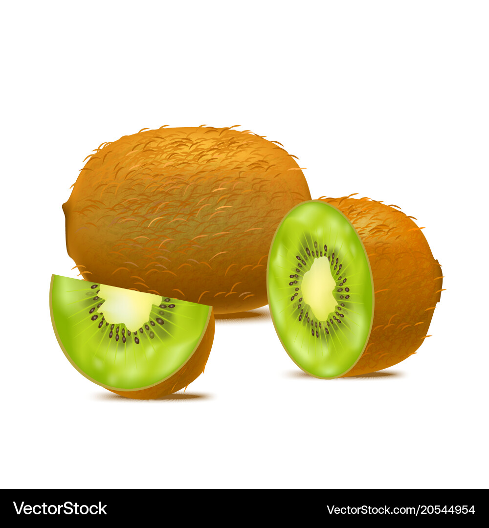 Realistic detailed 3d whole kiwi Royalty Free Vector Image
