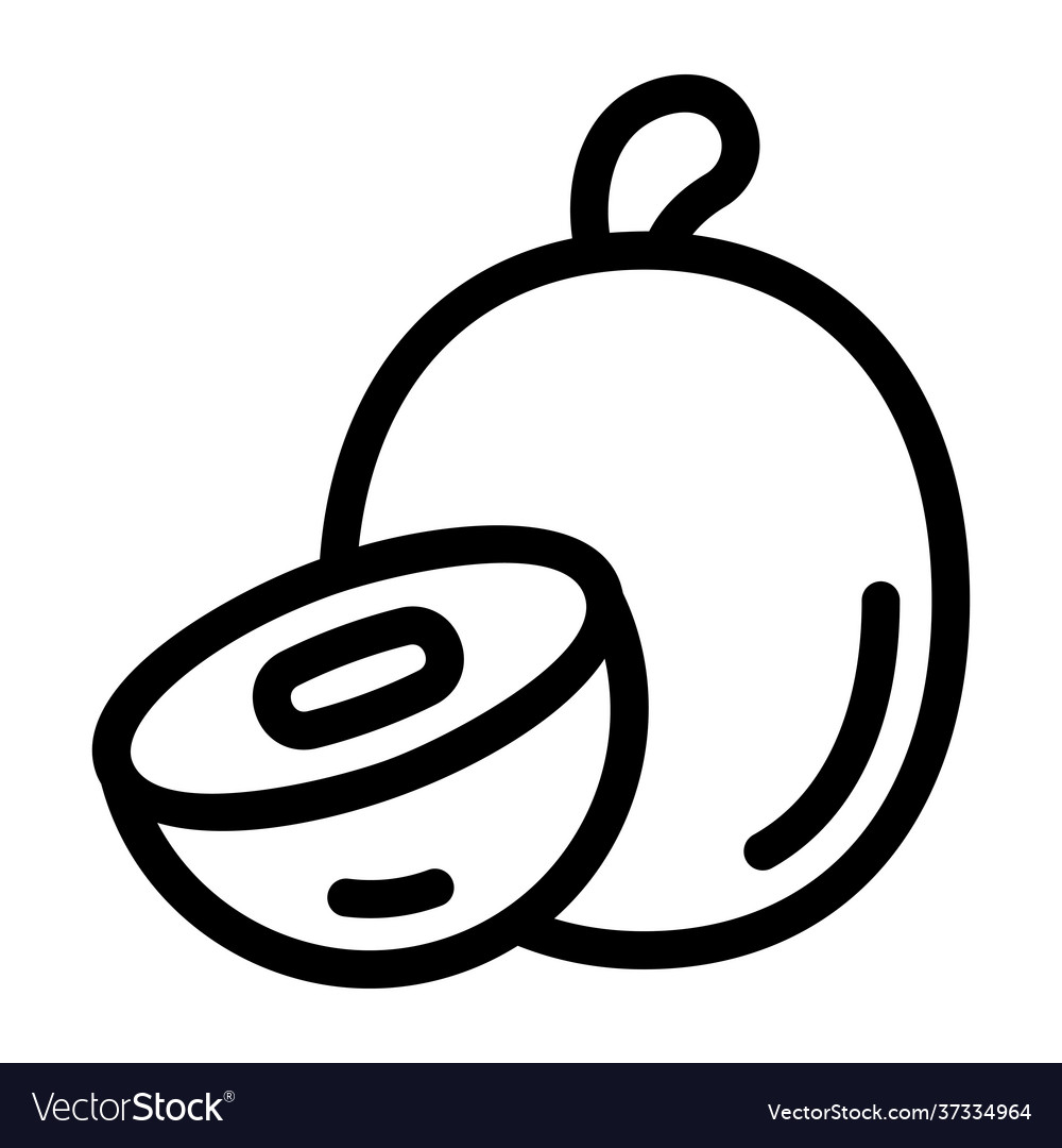 Sapodilla Royalty Free Vector Image - VectorStock