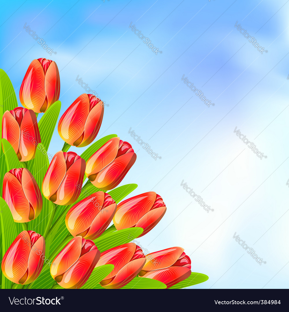 Spring background Royalty Free Vector Image - VectorStock