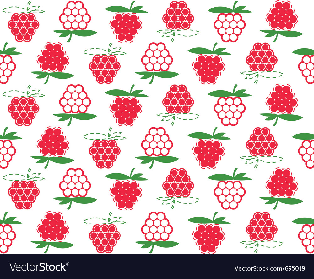Raspberry background Royalty Free Vector Image