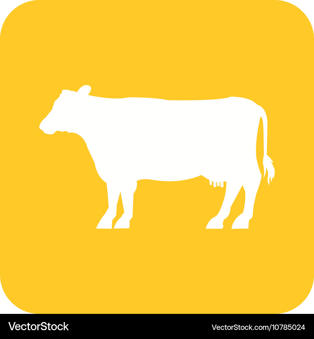 Cow Royalty Free Vector Image - VectorStock