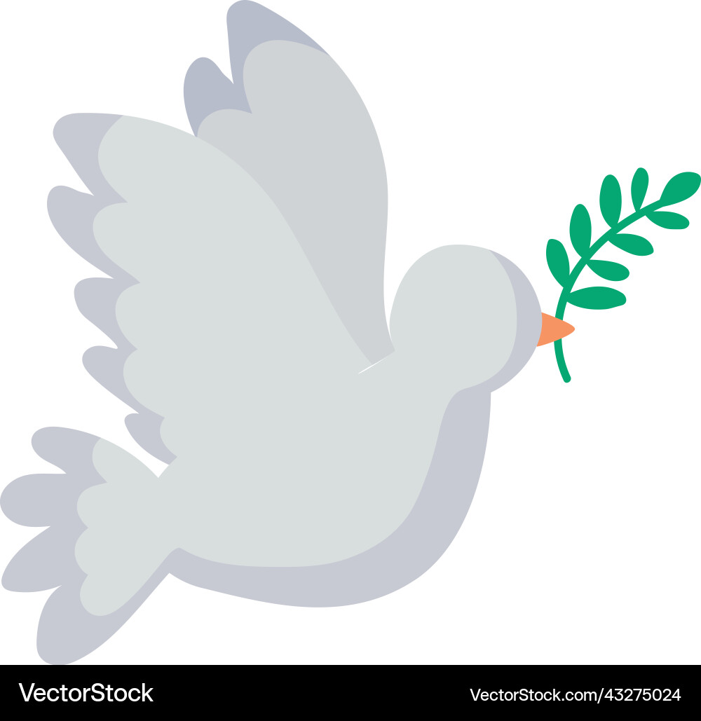 Dove with olive branch Royalty Free Vector Image