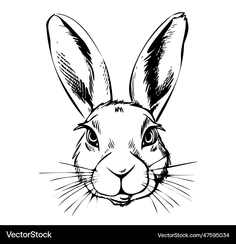 Rabbit Face Illustration Cute Bunny Face Vector Art PNG Images | Free